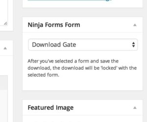 Download Monitor Ninja Forms Lock - TheDevKit