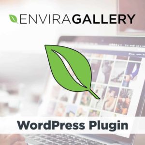 Envira Gallery WordPress Plugin - TheDevKit