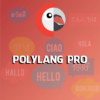 Polylang Pro - TheDevKit
