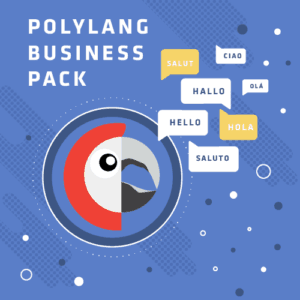 Polylang Business Pack - TheDevKit